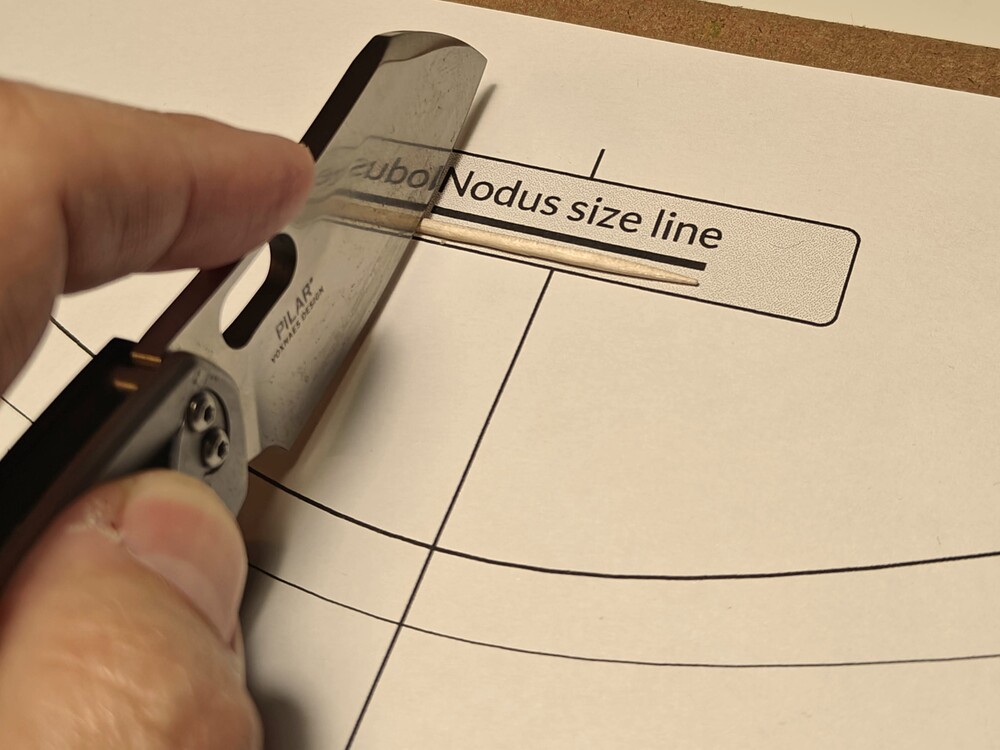 Step 2 - Prepare Nodus